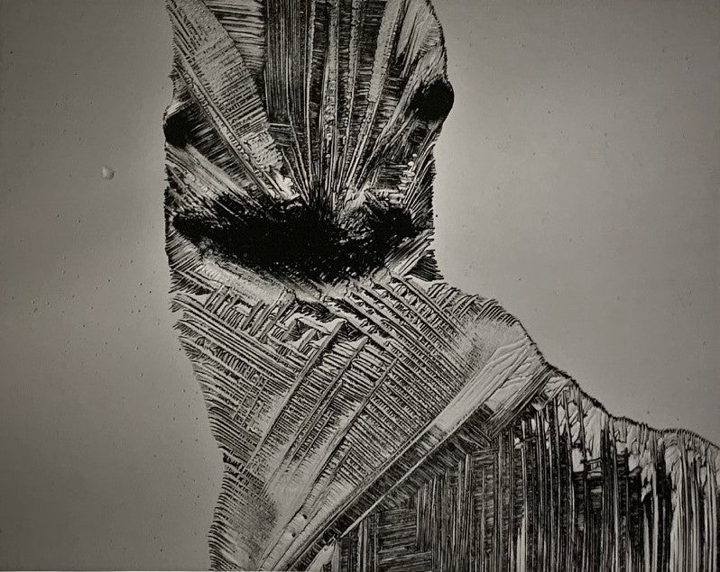 Art on Micro Scenes / drawing-like micro crystal under microscope